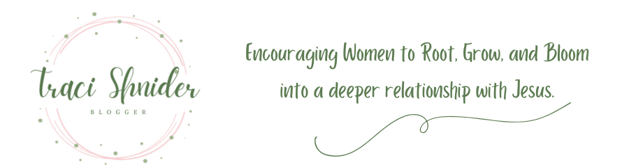 Root to Bloom in Jesus-2 – Traci Shnider